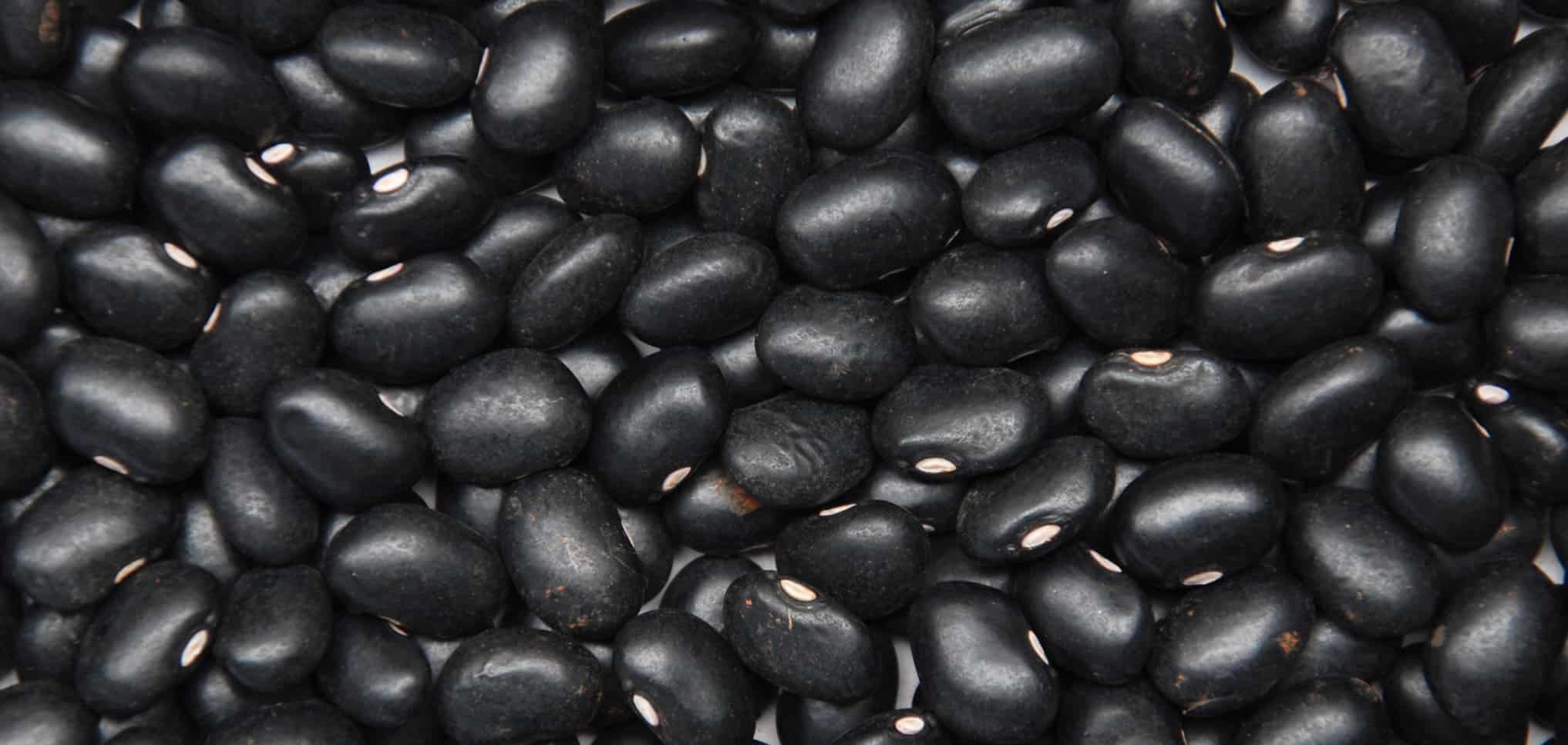 feijao-preto - Só Receitas Fáceis